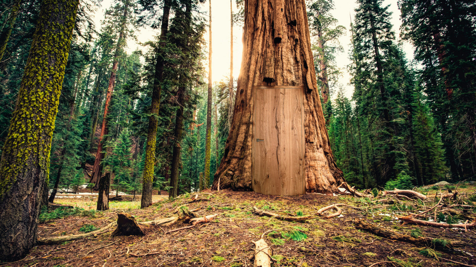 KONOLD - Türen aus Holz